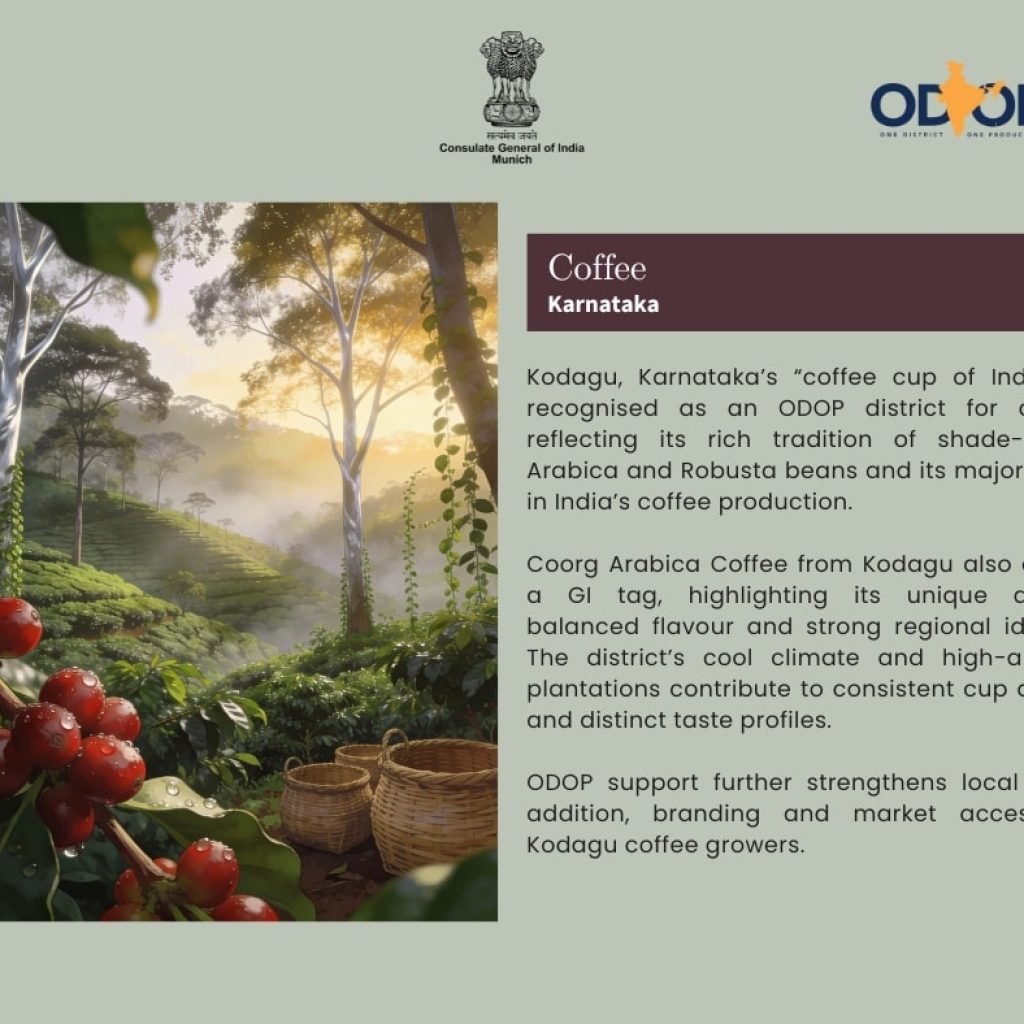Kodagu’s Coffee Legacy in Every Cup - Indoeuropean.eu